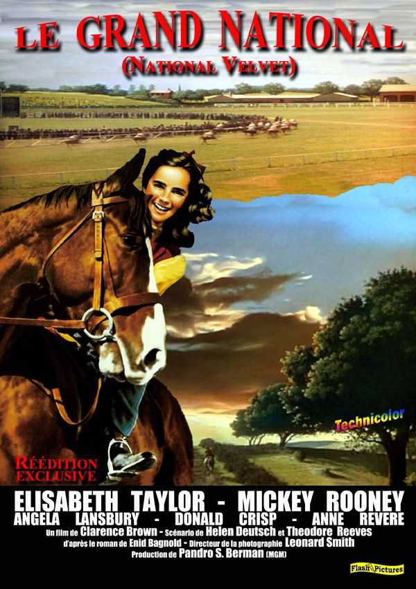 Achat DVD Le Grand national - Film Le Grand national en DVD - AlloCiné